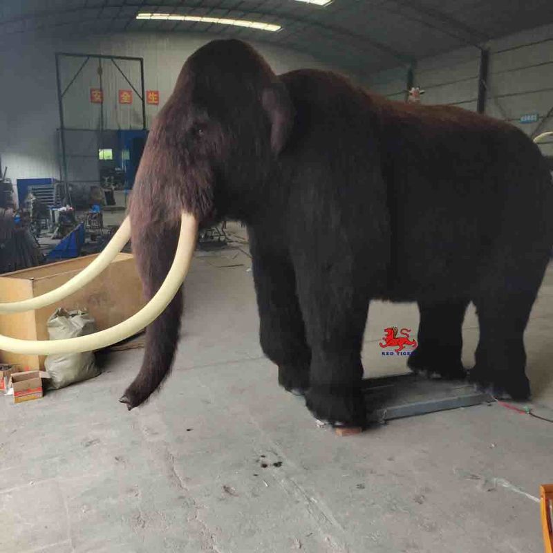 Size Custom Realistic Animatronic Animals Mammoth Model Adult Age