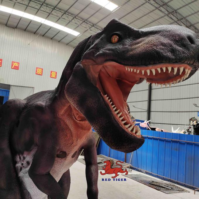 Customized Real Life T Rex Costume , Indoor Tyrannosaurus Suit