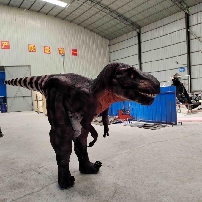 Customized Real Life T Rex Costume , Indoor Tyrannosaurus Suit